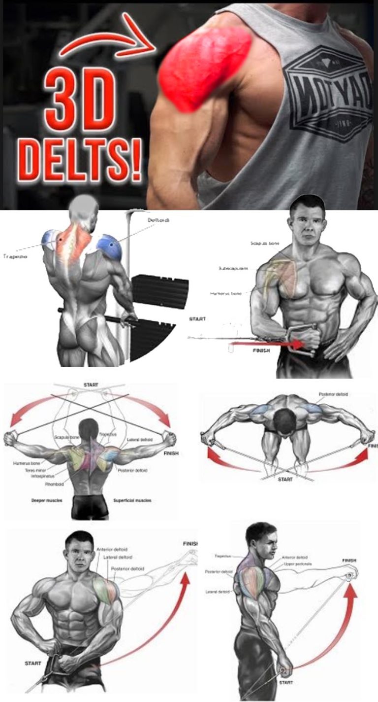 TUTORIAL SHOULDER EXERCISES | GUIDE