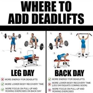 LEG DAY & BACK DAY TUTORIAL | GUIDE