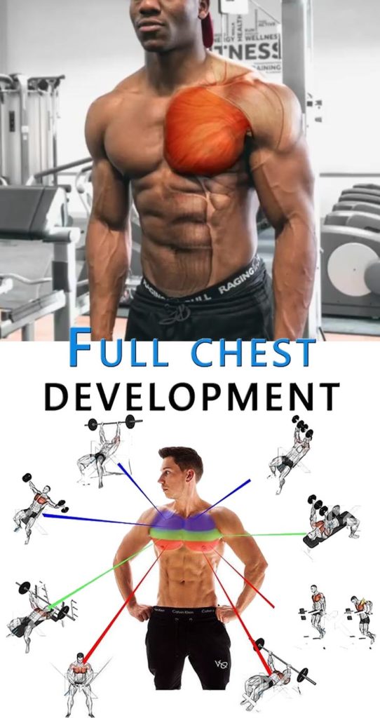 Full Chest Development | Guide