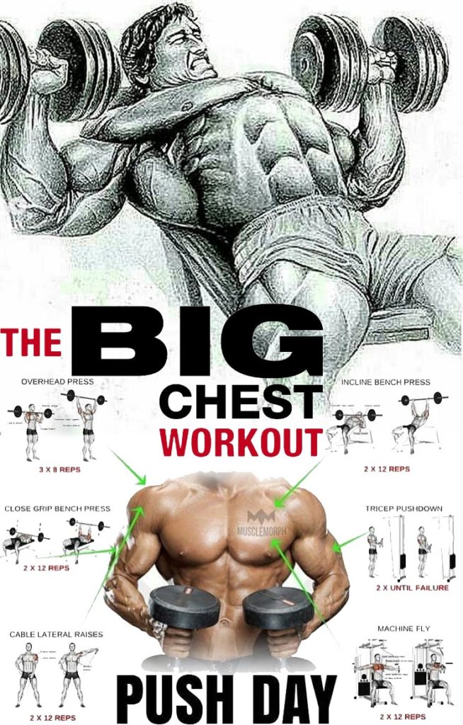 Full Chest Development | Guide