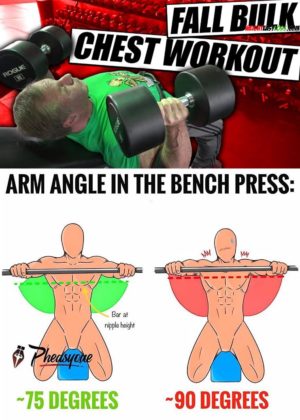 ARM ANGLE IN THE BENCH PRESS