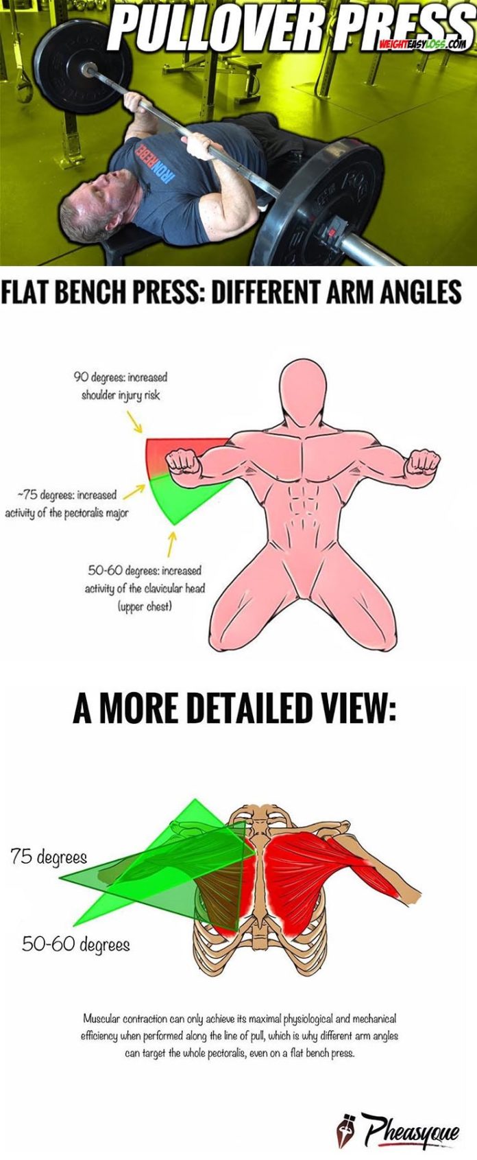 ARM ANGLE IN THE BENCH PRESS