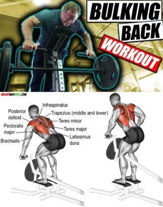 FULL BACK WORKOUT | VIDEO & GUIDE