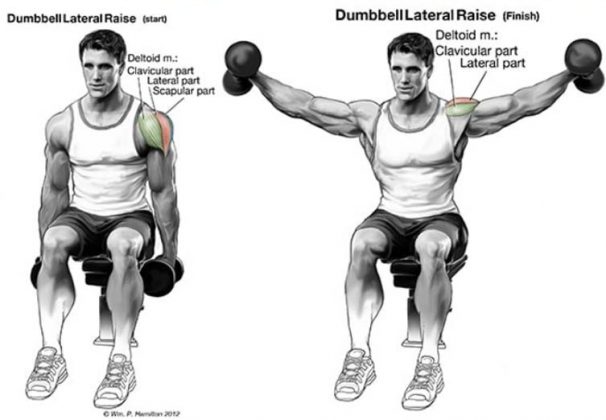 3 SHOULDER EXERCISES | GUIDE