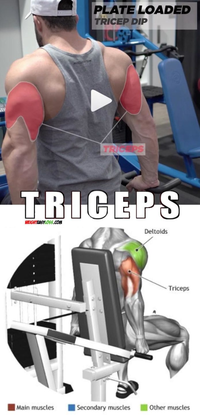 3 TRICEPS EXERCISES | VIDEO & GUIDE