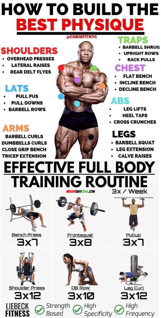 How to build the best physique