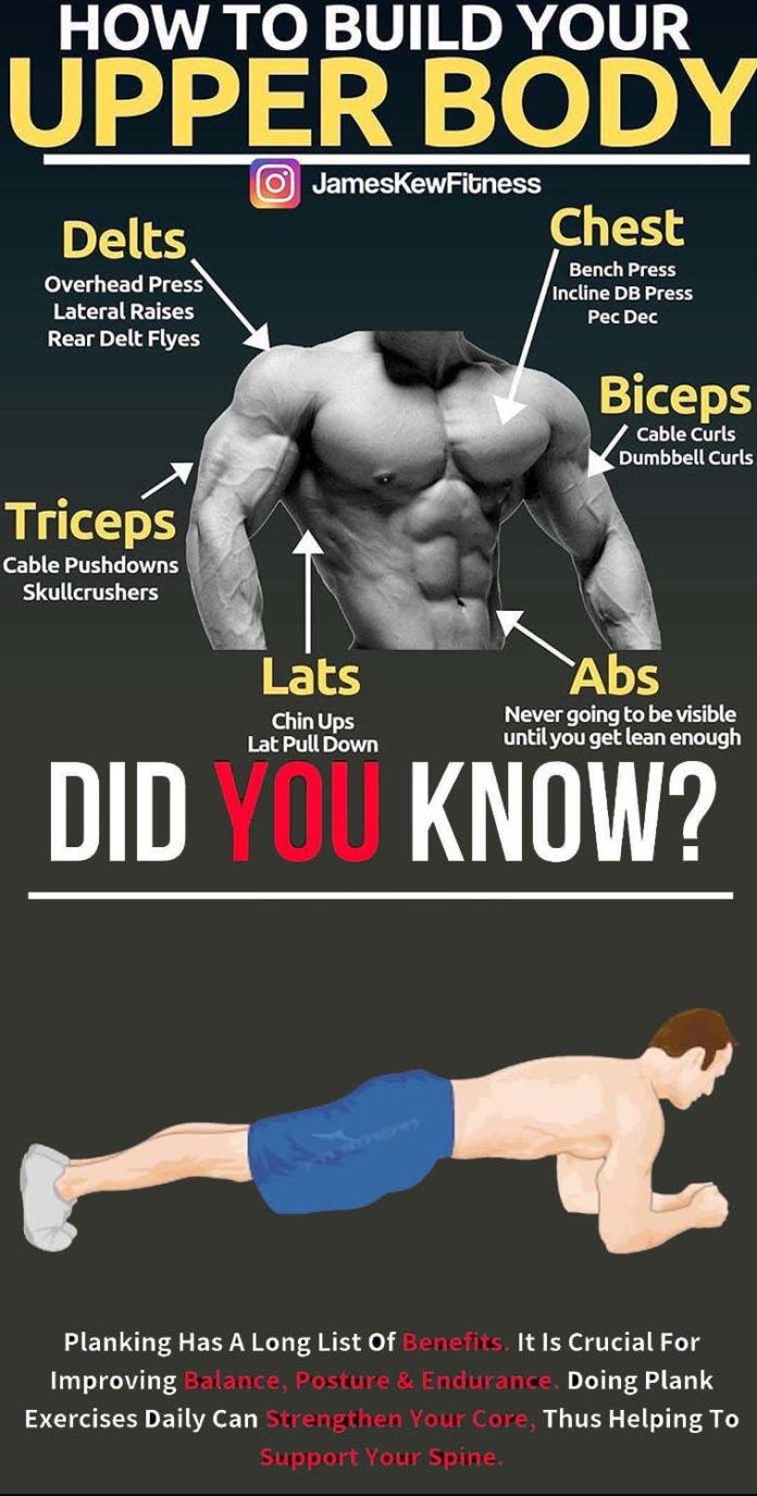 How to build the best physique