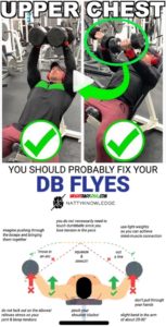 CHEST WORKOUT | VIDEO & GUIDE