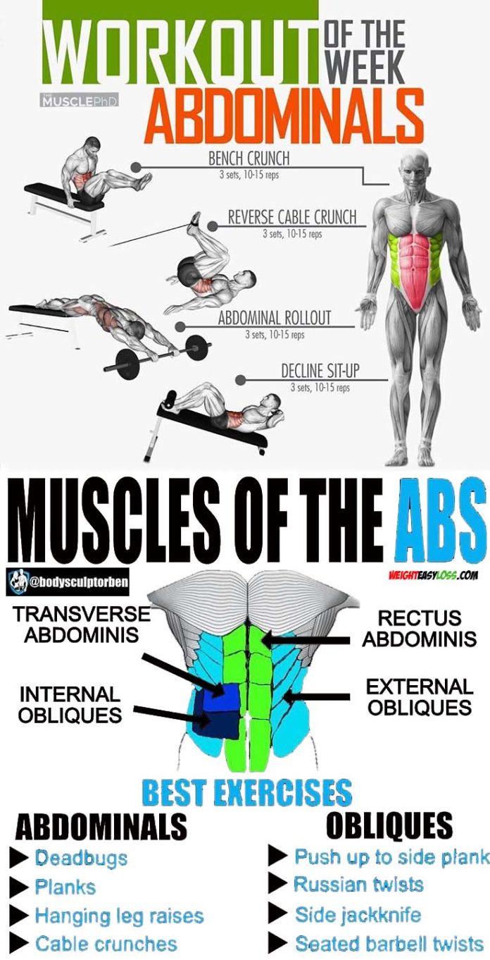 Core Workout Tutorial | Guide