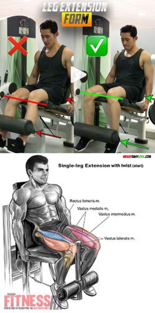 HOW TO LEG EXTENSION FORM | VIDEO & GUIDE