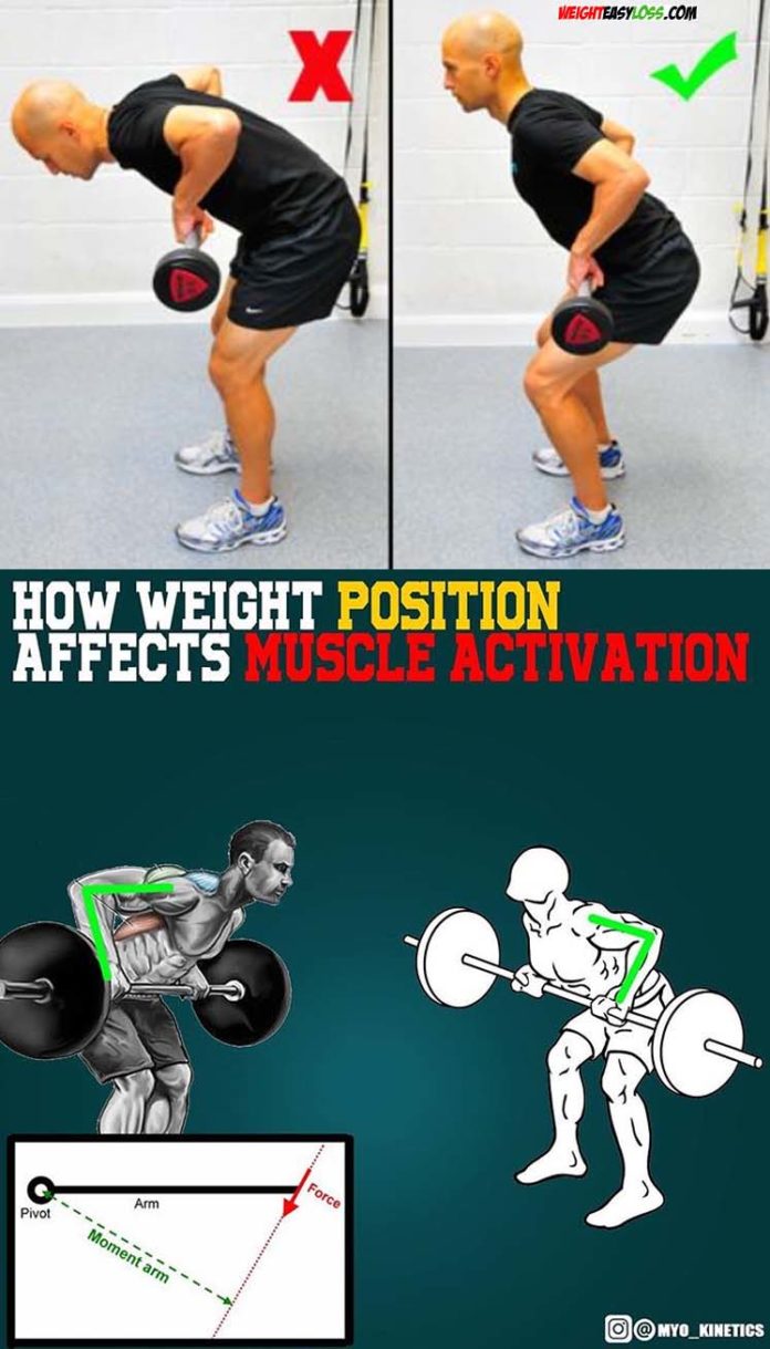 BACK WORKOUT TRUE GUIDE
