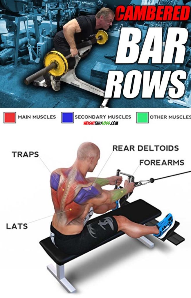 Back High Row Workout