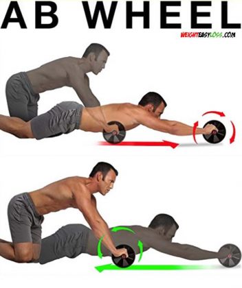 Abdominal Wheel Workout | Video & Guide