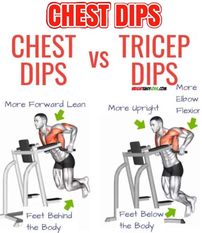 How to Do Chest Dips Workout | Video & Guide - weighteasyloss.com
