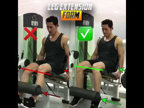 HOW TO LEG EXTENSION FORM | VIDEO & GUIDE