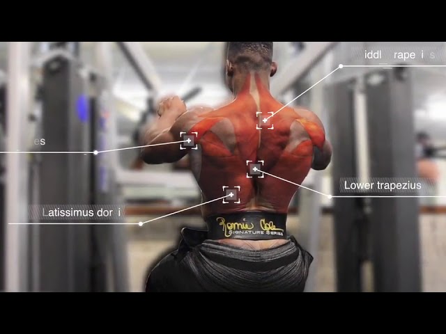 Back High Row Workout