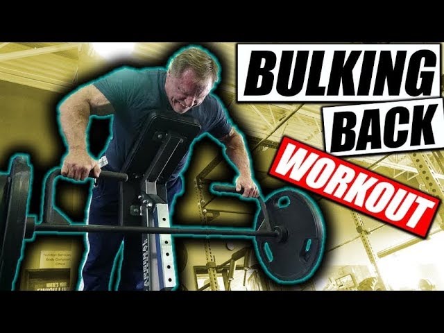 FULL BACK WORKOUT | VIDEO & GUIDE