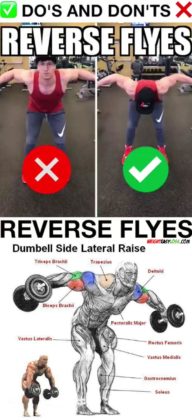 HOW TO REVERSE FLYS