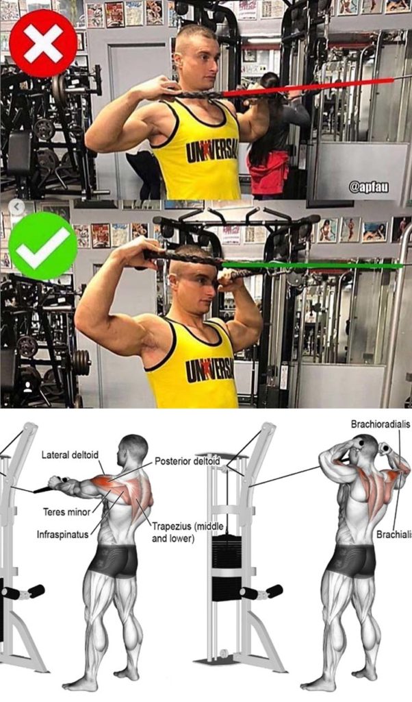 SHOULDER SHOCK GUIDE