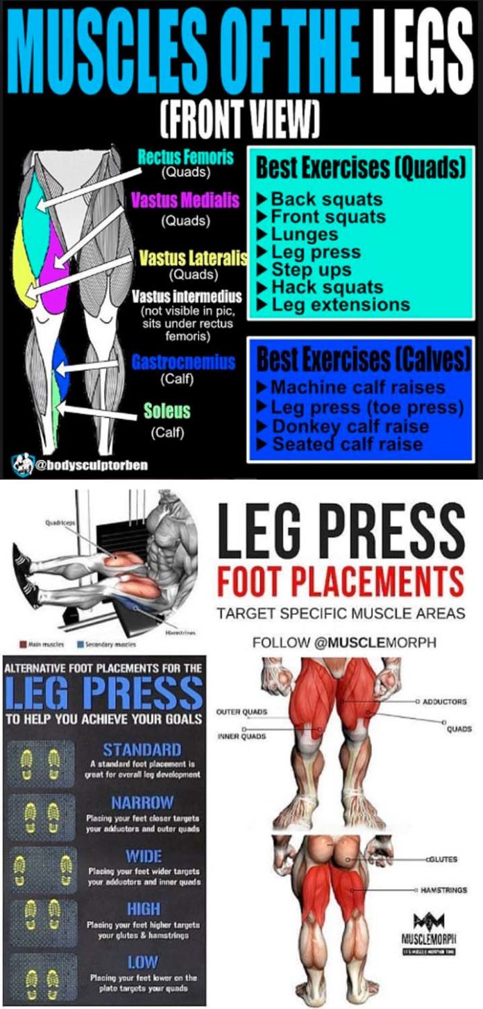 Legs Training | Video & Guide