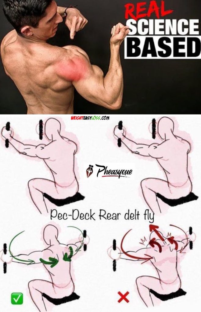 Rear Delts Exercises