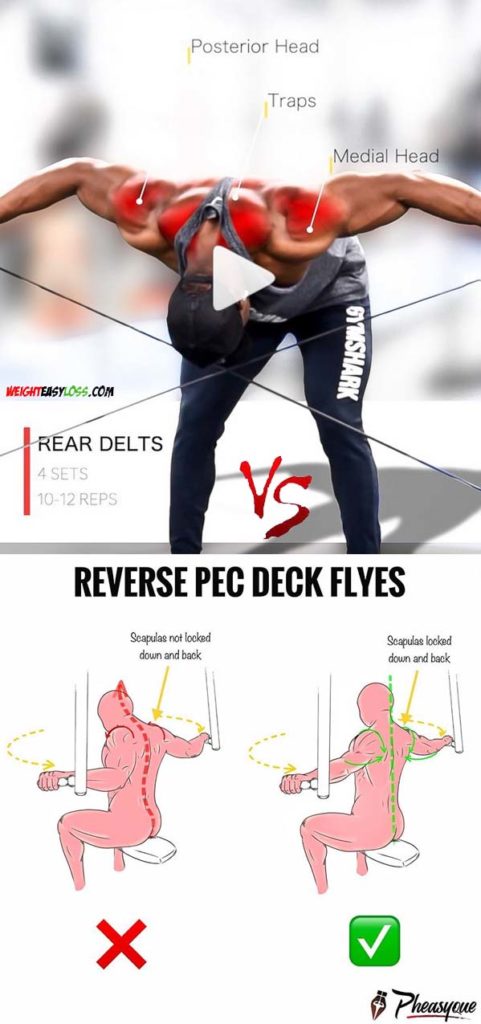 Rear Delts Exercises