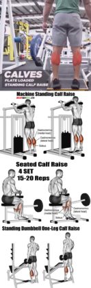 Calf Raise | Video & Guide