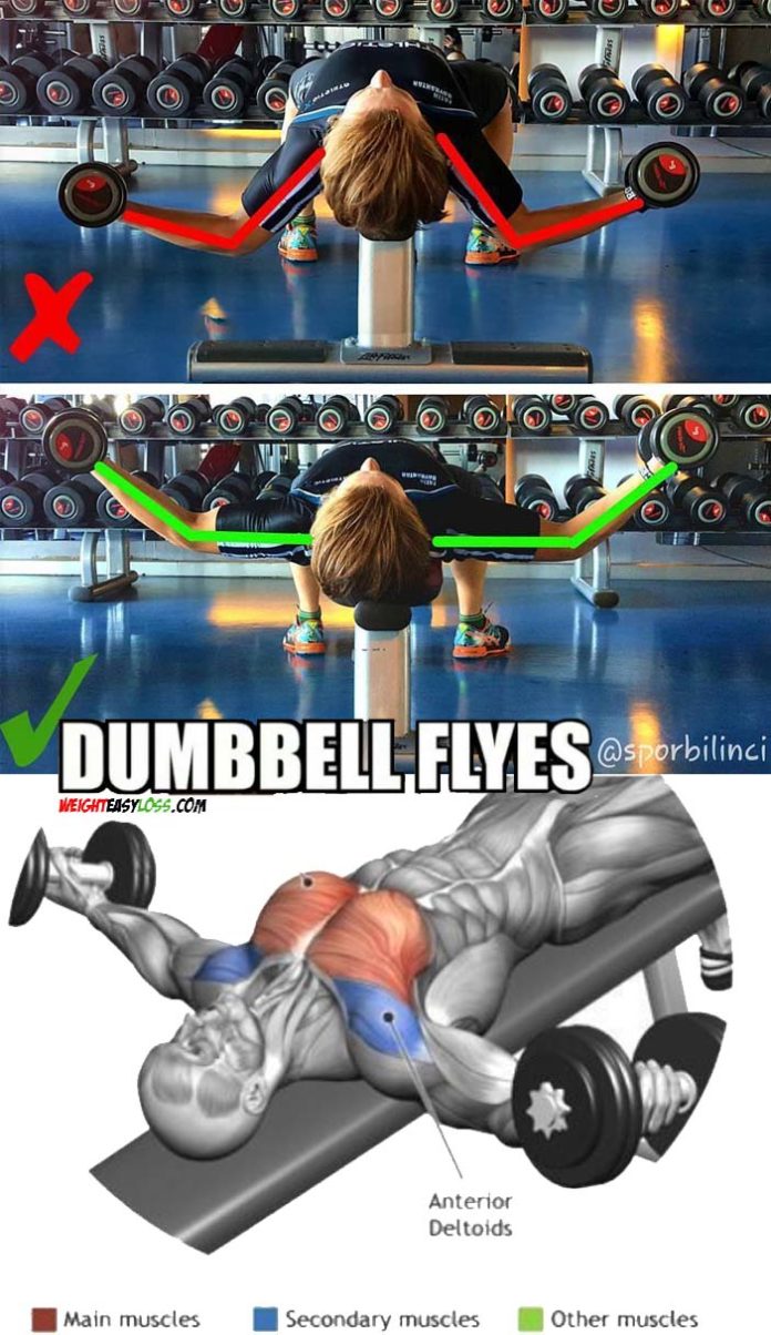 Chest Flys Variation