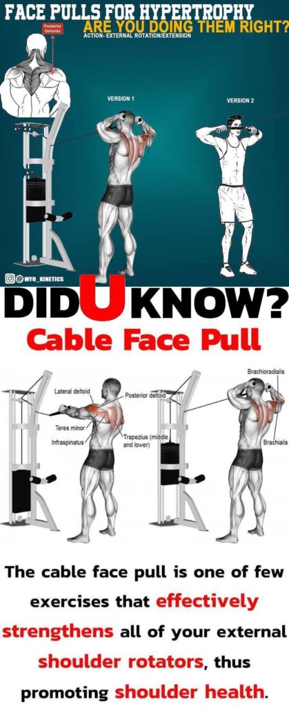The Cable Face-Pull