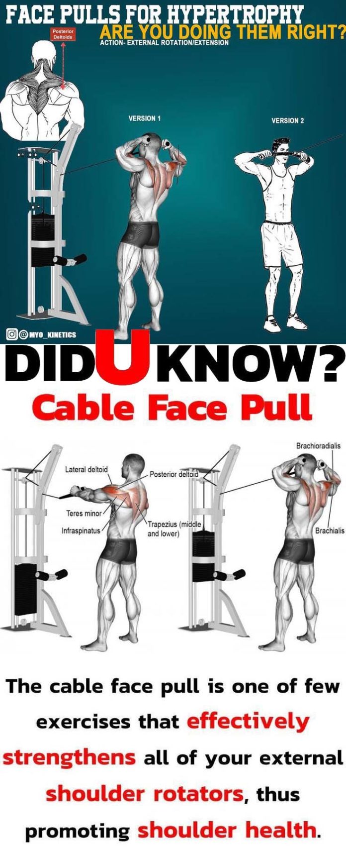 The Cable Face-Pull
