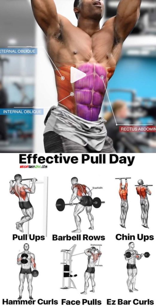 How to Effective Pull Day