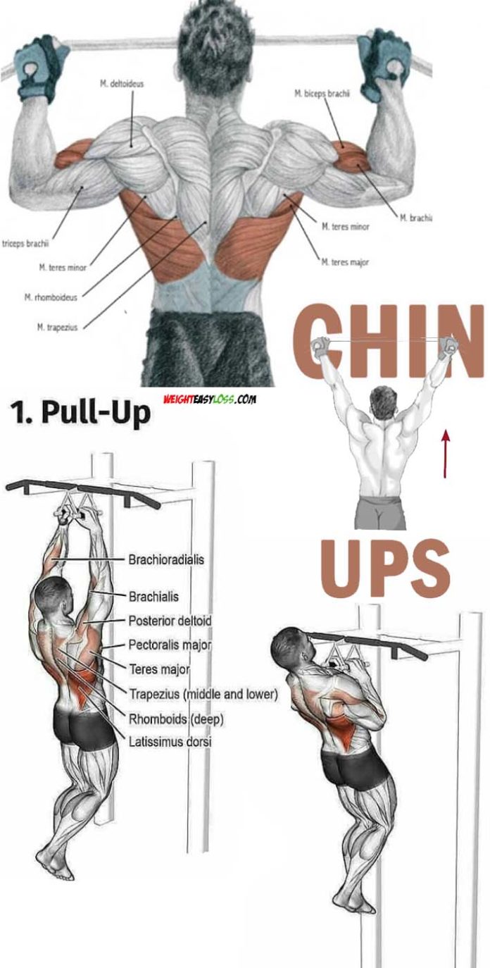How to Effective Pull Day