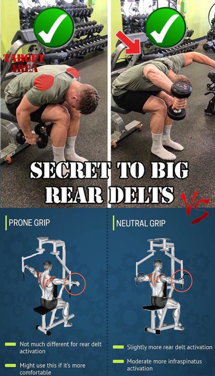 How to Reverse Pec Deck Fly | Video & Guide