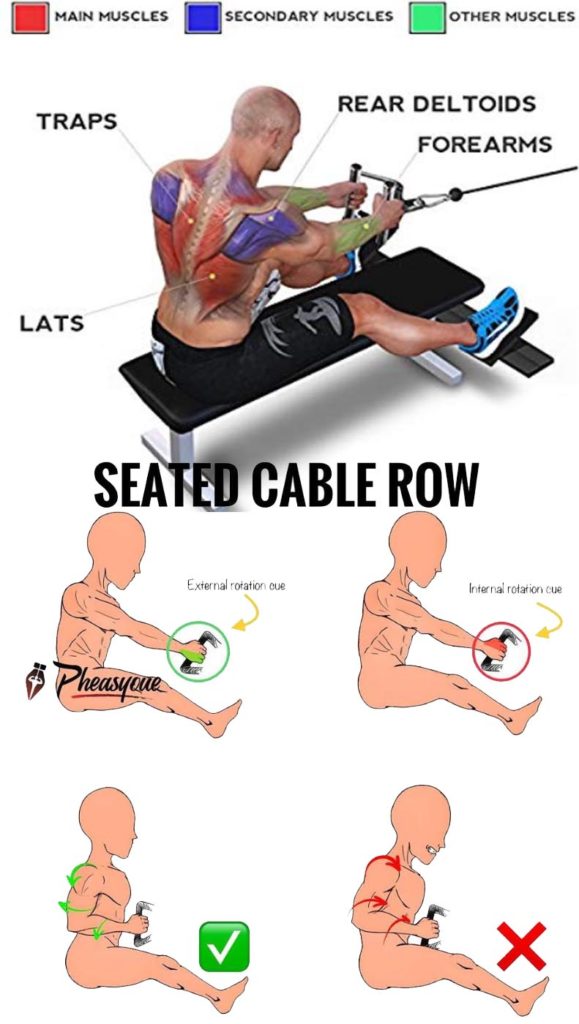 SEATED CABLE ROWS