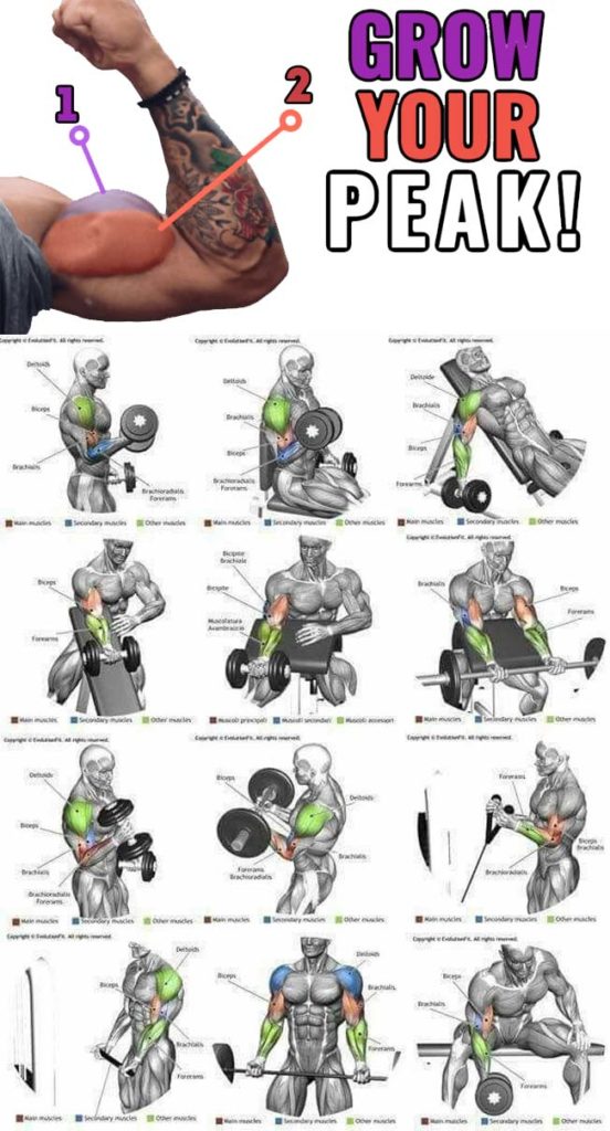 Hand Workouts: 3 Ways to Pump Your Biceps | Video & Guide