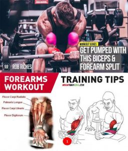 How to Do Drop Sets Forearms, Tips, Benefits: Exercises Guide