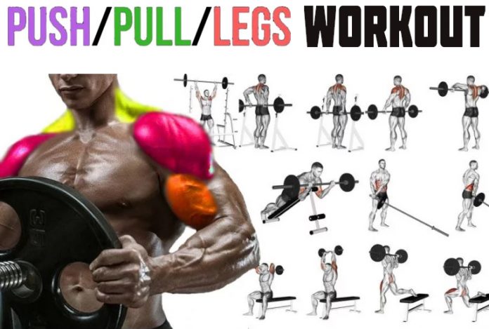 How to Do Push Pull Legs Workout: Training Workout