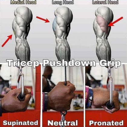 How to Triceps Pushdown, Technique and Types | Video & Guide