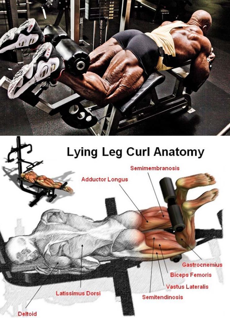 Are Your Hamstrings Lagging