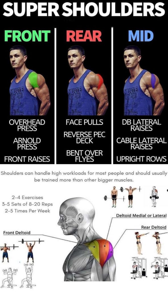 THE PERFECT SHOULDER WORKOUT