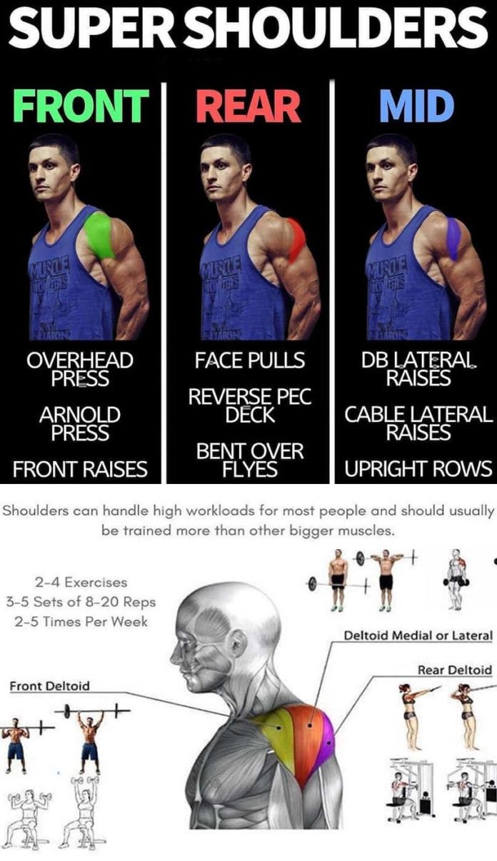 THE PERFECT SHOULDER WORKOUT