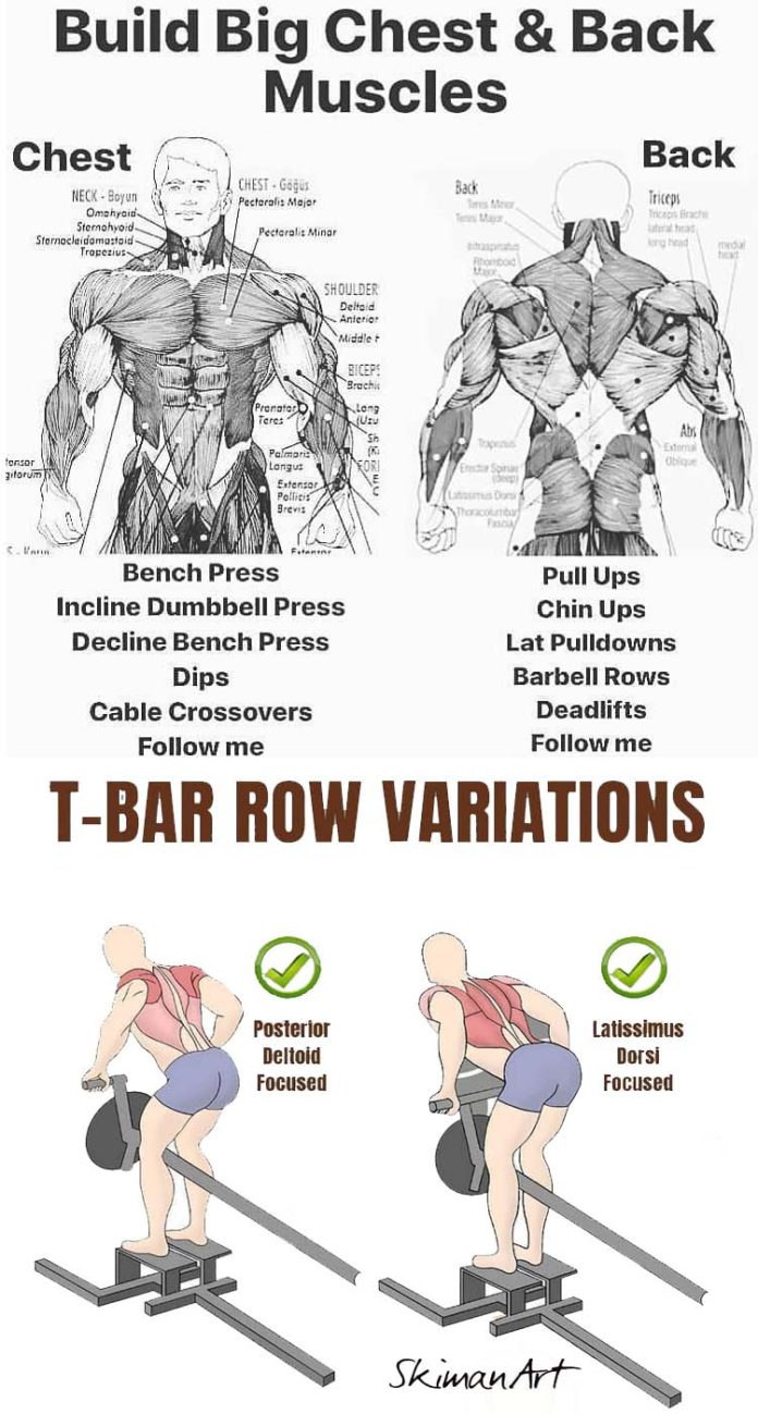 How to properly do Pendlay Rows