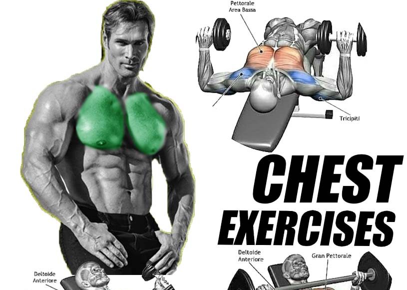 How to Do Chest Underhand Dumbbells Fly | Video & Guide