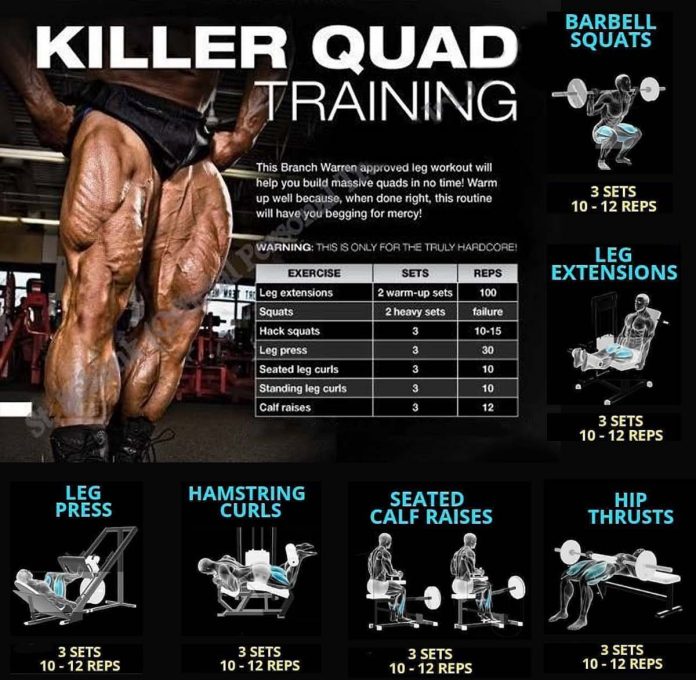 Strengthening Muscles of the Legs | Training program