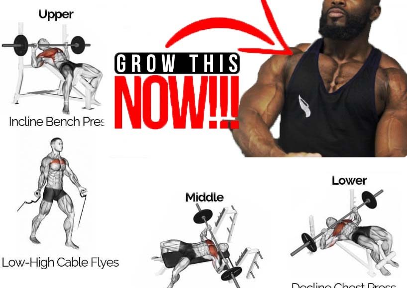 How to Do Chest Underhand Dumbbells Fly | Video & Guide