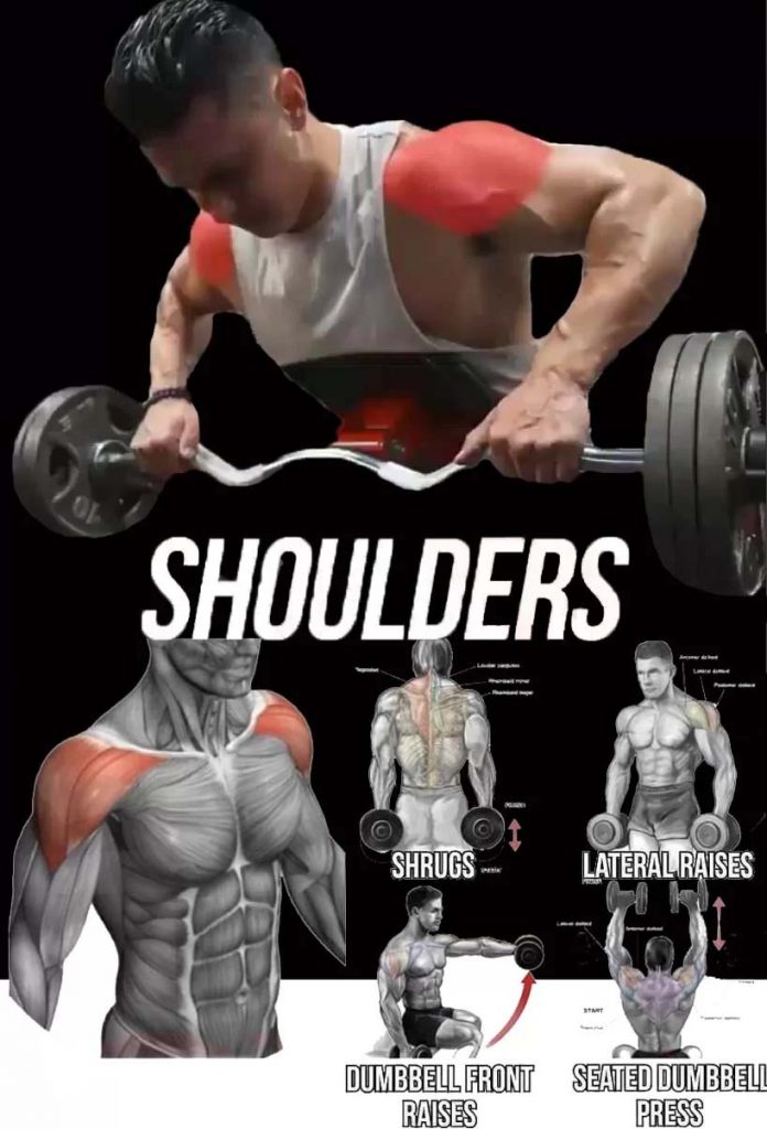 Phil Heath's Shoulder Workout - Building Massive Shoulders