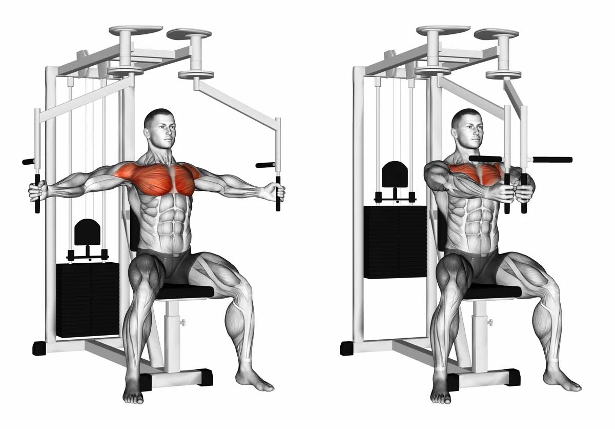 Grow Chest Muscles: Why Your Chest Isn't Growing, Tips & Benefits
