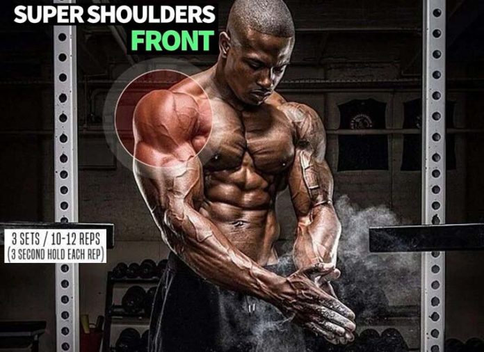 Training Program for Front Delts | Guide