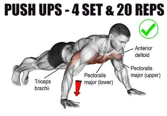 Hindu Push up: How to Training, Tips, Benefits & Exercises Guide