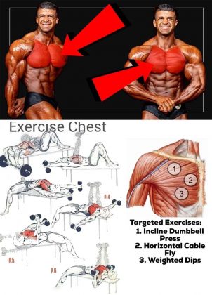 3 Best Chest Muscle Training: Favorite Training Arnold Schwarzenegger